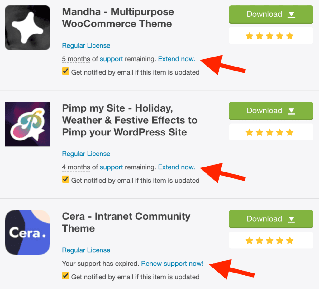 How to Extend your Support License? • Themosaurus Documentation
